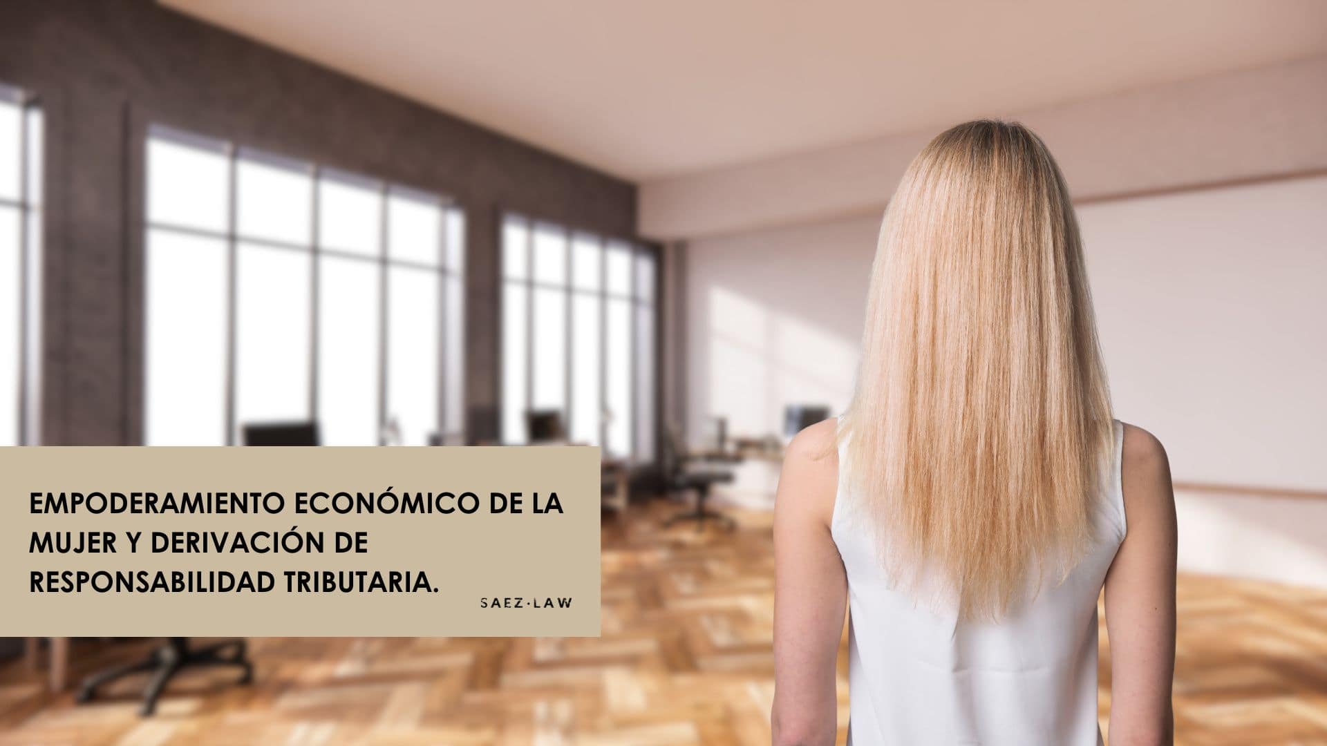 Empoderamiento económico de la mujer y derivación de responsabilidad ...